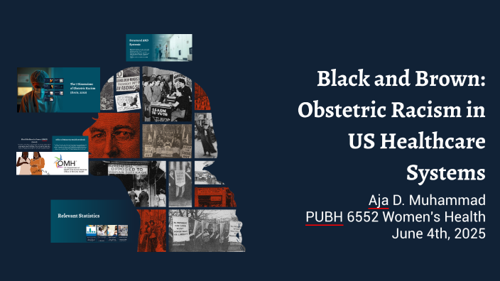 Embedded Practices: Health Inequity and Structural Racism in US ...