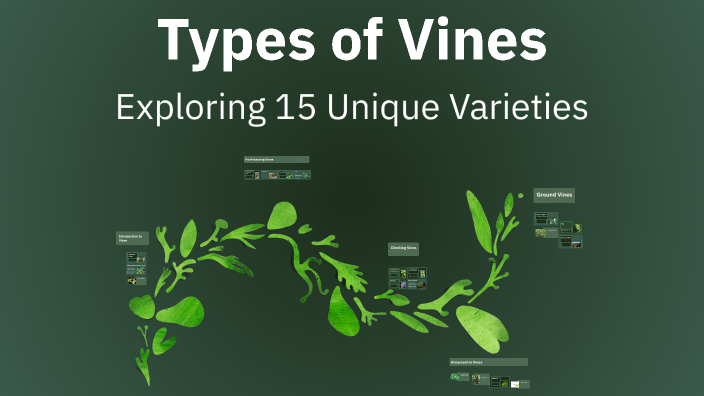Types of Vines by brojudyh sa,mzjkfhyqug on Prezi