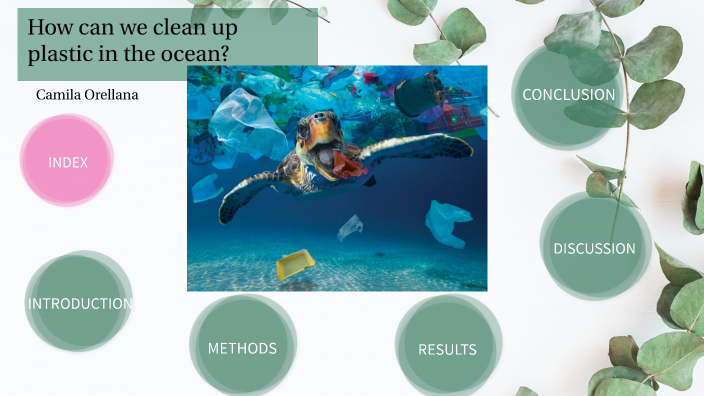 How can we clean up plastic in the ocean? by camila Orellana on Prezi