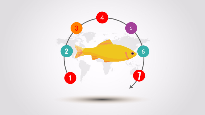 pez lisa by katherine cabrera on Prezi