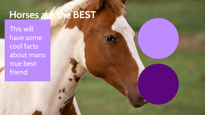 Hailey Roach by Hailey Roach on Prezi