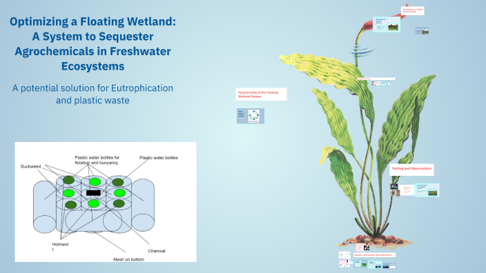 Floating Wetland System for Overcoming Agrochemical Pollution by ...