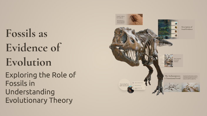 Fossils as Evidence of Evolution by euan oconnor on Prezi