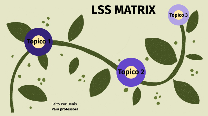 LSS Matrix by Denis Lucas on Prezi