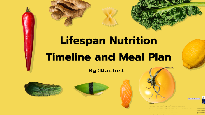 Lifespan Nutrition Timeline and Meal Plan - Rachel Chen by Rachel Chen ...