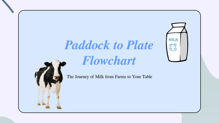 Paddock to Plate Flowchart by Insiya Mehdi on Prezi