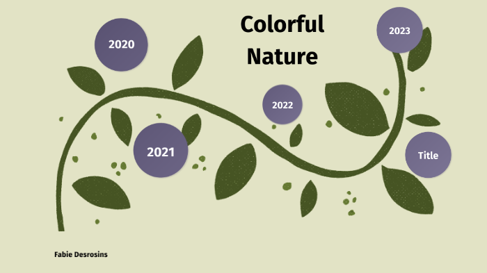 5 year vision plan by Fabie Desrosins on Prezi