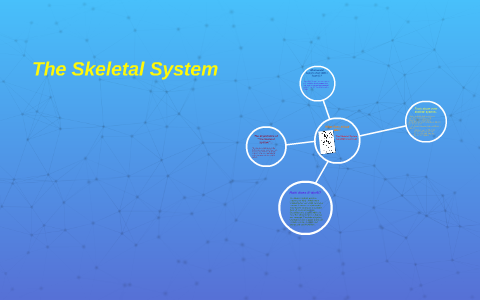 The Skeletal System by on Prezi