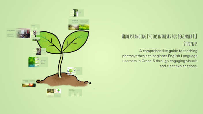 Understanding Photosynthesis for Beginner ELL Students by Lisa Vickers ...