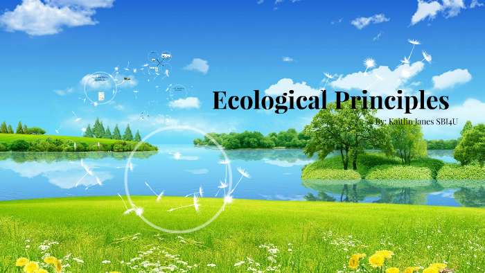 Ecological Principles by Kaitlin Janes on Prezi