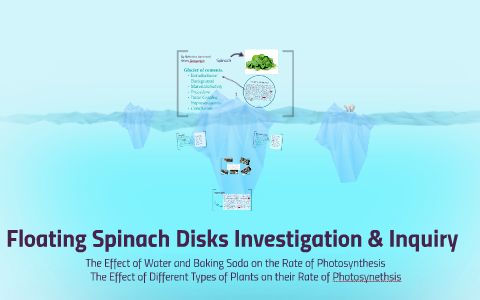 Floating Spinach Disks Investigation & Inquiry by Team Evil AP Bio ...