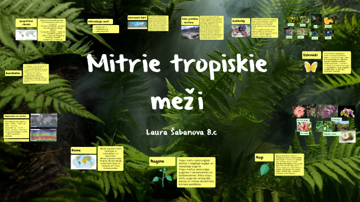 Mitrie tropiskie meži by Laura Šabanova on Prezi