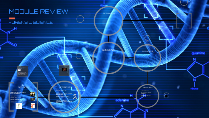 MODULE REVIEW by Jadon Mcghee on Prezi