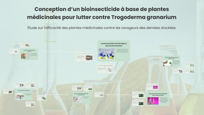 Conception d’un bioinsecticide à base de plantes médicinales contre les ...