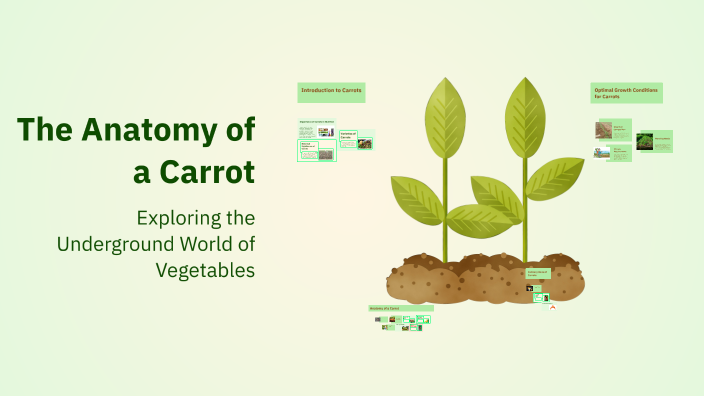 The Anatomy of a Carrot by on Prezi