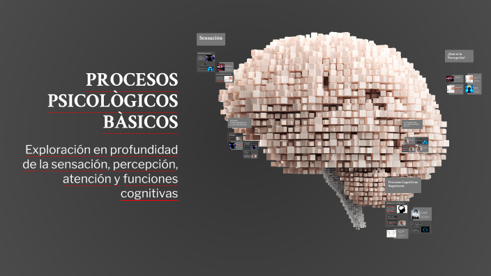 PROCESOS PSICOLÒGICOS BÀSICOS by Angela L on Prezi