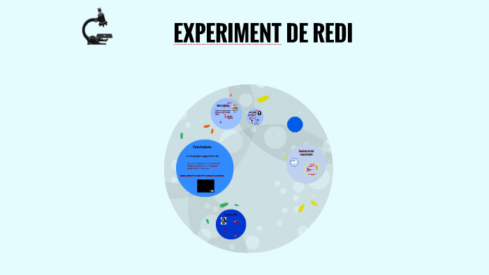 Experiment de Redi by Maria Cantudo on Prezi
