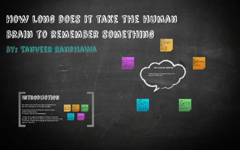 How long does it take the human brain to remember something by Tanveer ...