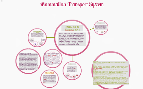 Mamalian Transport System by Merry Ashworth on Prezi