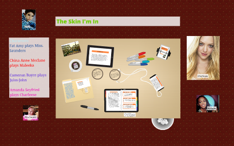 "The Skin I'm in" is a realistic fiction novel about is abo by