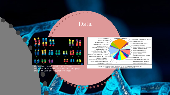The Emirati genome project by .. .. on Prezi
