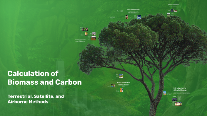 Calculation of Biomass and Carbon by Dhia Zahira on Prezi