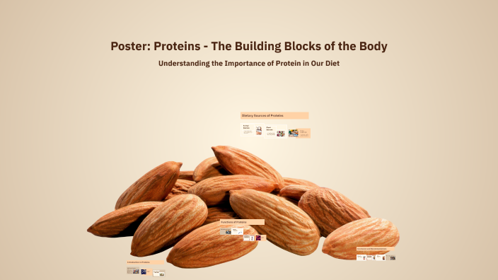 Poster: Proteins - The Building Blocks of the Body by Hadi Shatnawei on ...