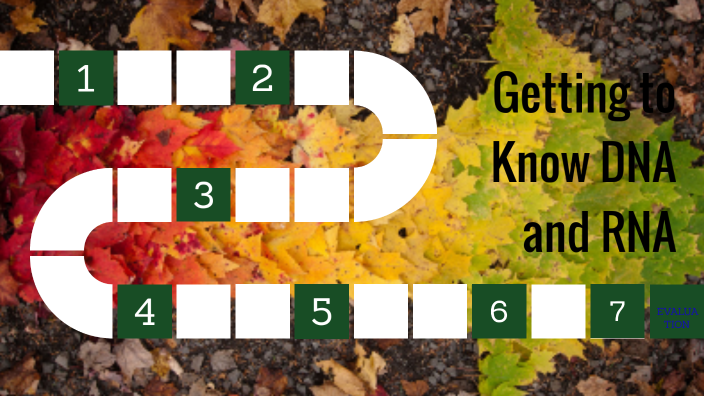 Getting to Know the DNA and RNA by ANNE XY-ZA PILAYRE on Prezi