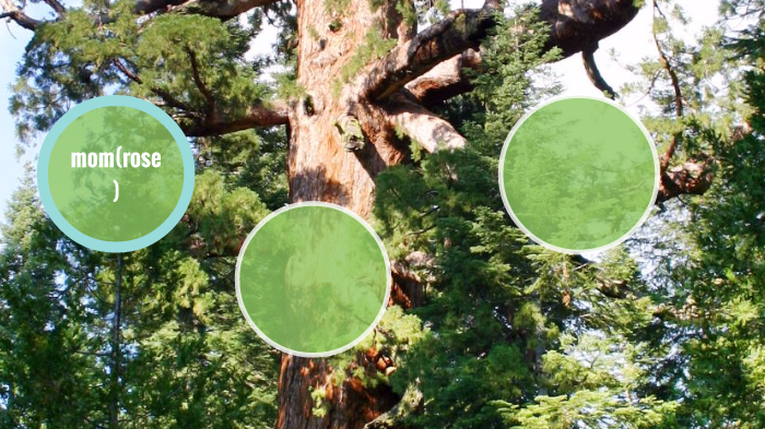 my family tree by on Prezi