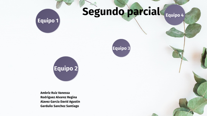 Segundo y tercer parcial by vanessa Ambriz on Prezi