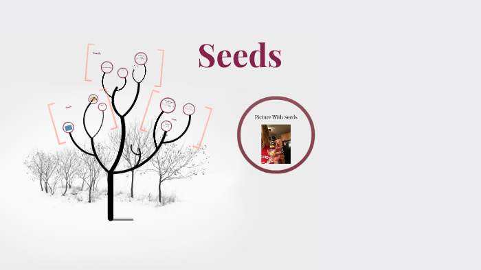 Seeds by Courtney Rafferty on Prezi
