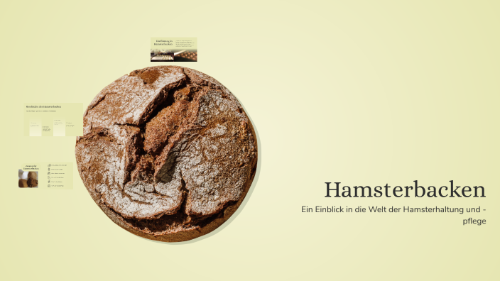 Hamsterbacken by Jule Brand on Prezi