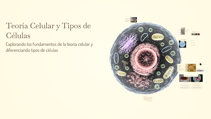 Teoría Celular y Tipos de Células by Jerónimo Lopez on Prezi