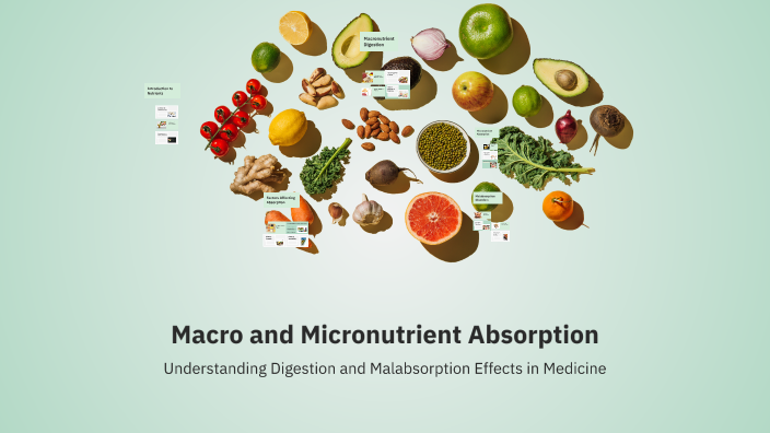 Macro and Micronutrient Absorption by Andre JD on Prezi