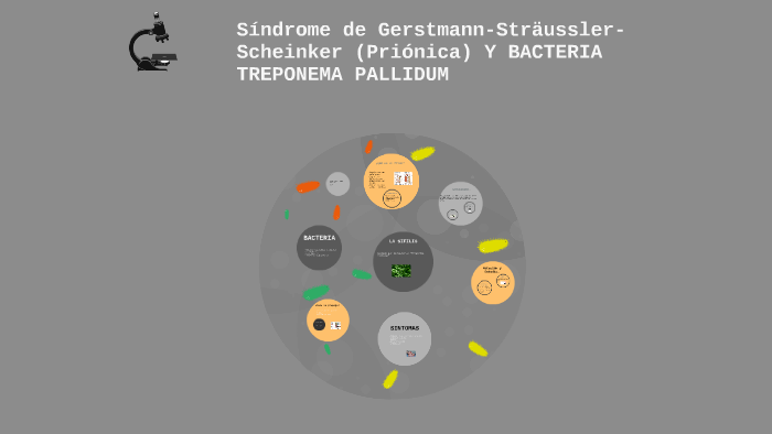 Sindrome de GERSTMANN. by Paula Perez on Prezi