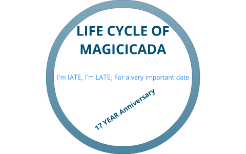 Life Cycle of Magicicada by Robert Rolling