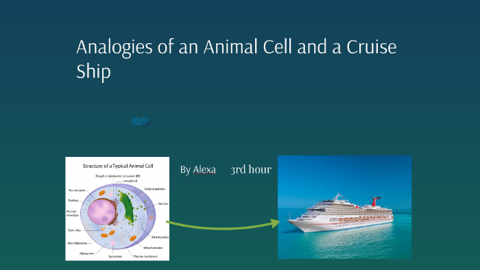 Analogies of a Animal Cell and a Cruise Ship by Alexa D on Prezi