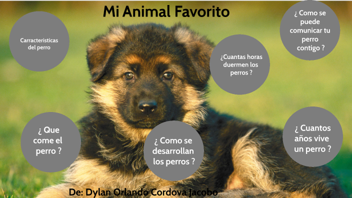 Mi Animal Favorito by Dylan Orlando on Prezi