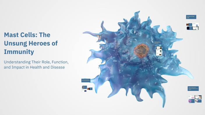 Mast Cells: The Unsung Heroes of Immunity by Youmna Saleh on Prezi