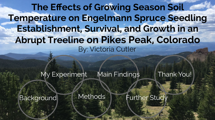 Thesis Presentation by Victoria Cutler on Prezi