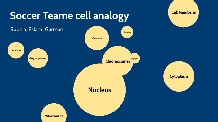 Soccer team cell analogy by G Dhaliwal on Prezi