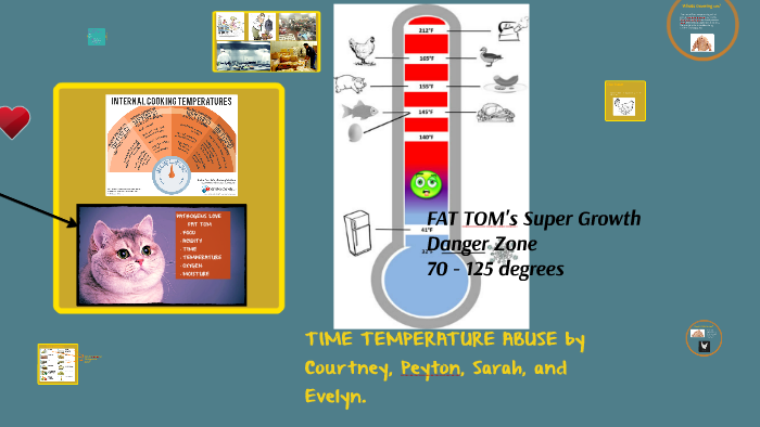 TIME TEMPERATURE ABUSE by Sarah Bobier on Prezi