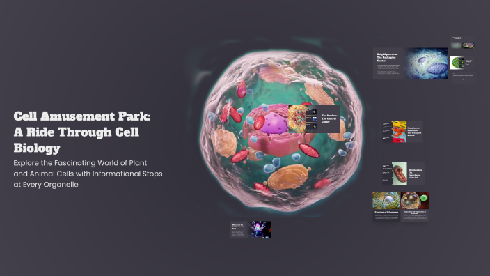 Cell Amusement Park: A Ride Through Cell Biology by Nalani Rodriguez ...