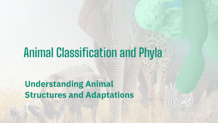 Animal Classification and Phyla by Melissa Spotts on Prezi