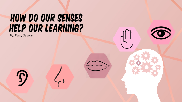 How Do Our Senses Help Our Learning by daisy salazar on Prezi