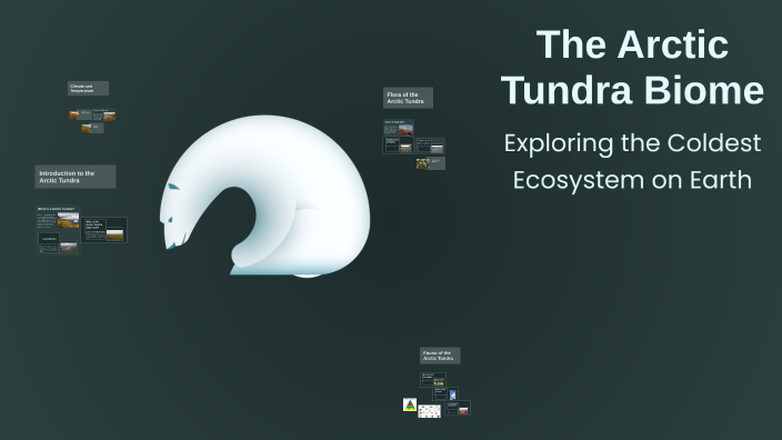 The Arctic Tundra Biome by WYATT STEPHENS on Prezi