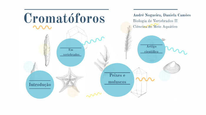 Cromatóforos by Daniela Silva on Prezi