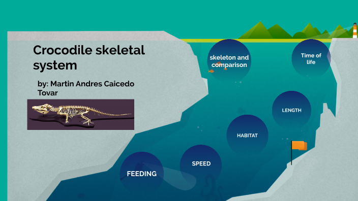 crocodile skeletal system by Martin Andres Caicedo Tovar on Prezi