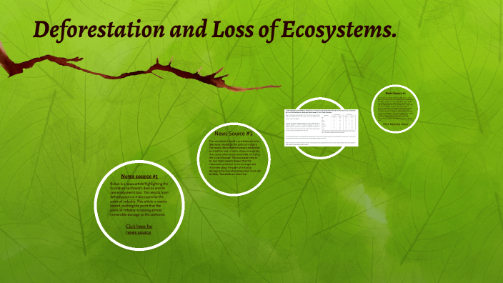 Deforestation and Loss of Ecosystems. by Aaron Burke on Prezi