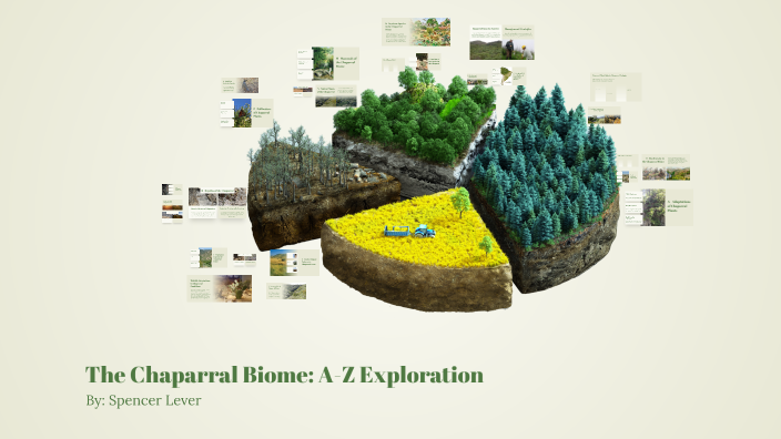 The Chaparral Biome: A-Z Exploration by Spencer Lever on Prezi